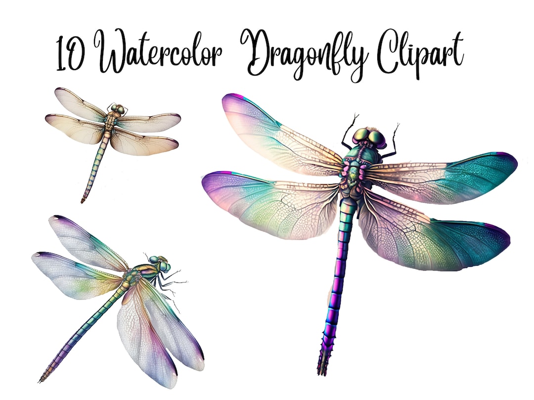 12 Dragonfly Clipart, Jpgs, Commercial Use, Digital Download, Paper ...