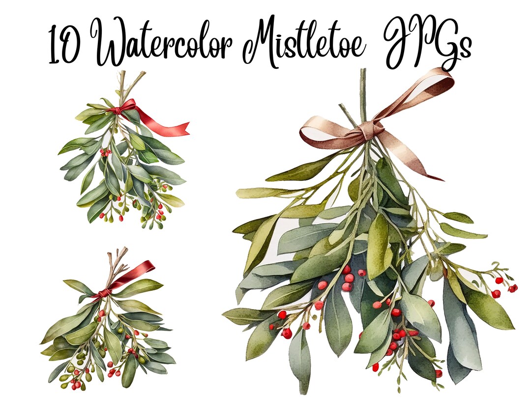 10 Mistletoe Clipart, Christmas Clipart, Jpgs, Commercial Use, Digital ...