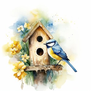 14 Bird Houses Clipart,jpgs,cute Birdhouses and Blossoms Clipart ...