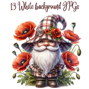 13 JPG Birth Month Flower Clipart, Birth Month Flower Gnome, Poppy ...