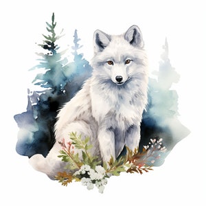19 Winter Arctic Fox Clipart Jpgs, Printable Watercolor Clipart, Winter ...