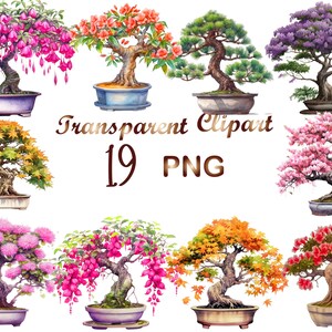 19 Watercolor Bonsai Tree Clipart Png, Bonsai Png, Sublimation, Digital ...