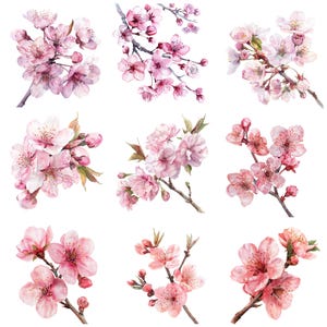 145 PNG, Watercolor Sakura Clipart Bundle, Spring Flowers Clipart ...
