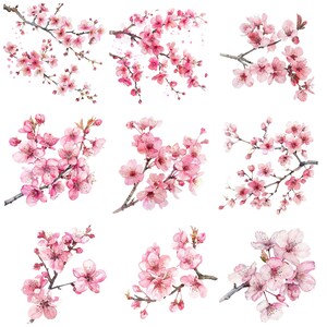 145 PNG, Watercolor Sakura Clipart Bundle, Spring Flowers Clipart ...