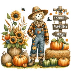 11 PNG, Hello Pumpkin Clipart, Pumpkins Clipart, Scarecrow Images ...