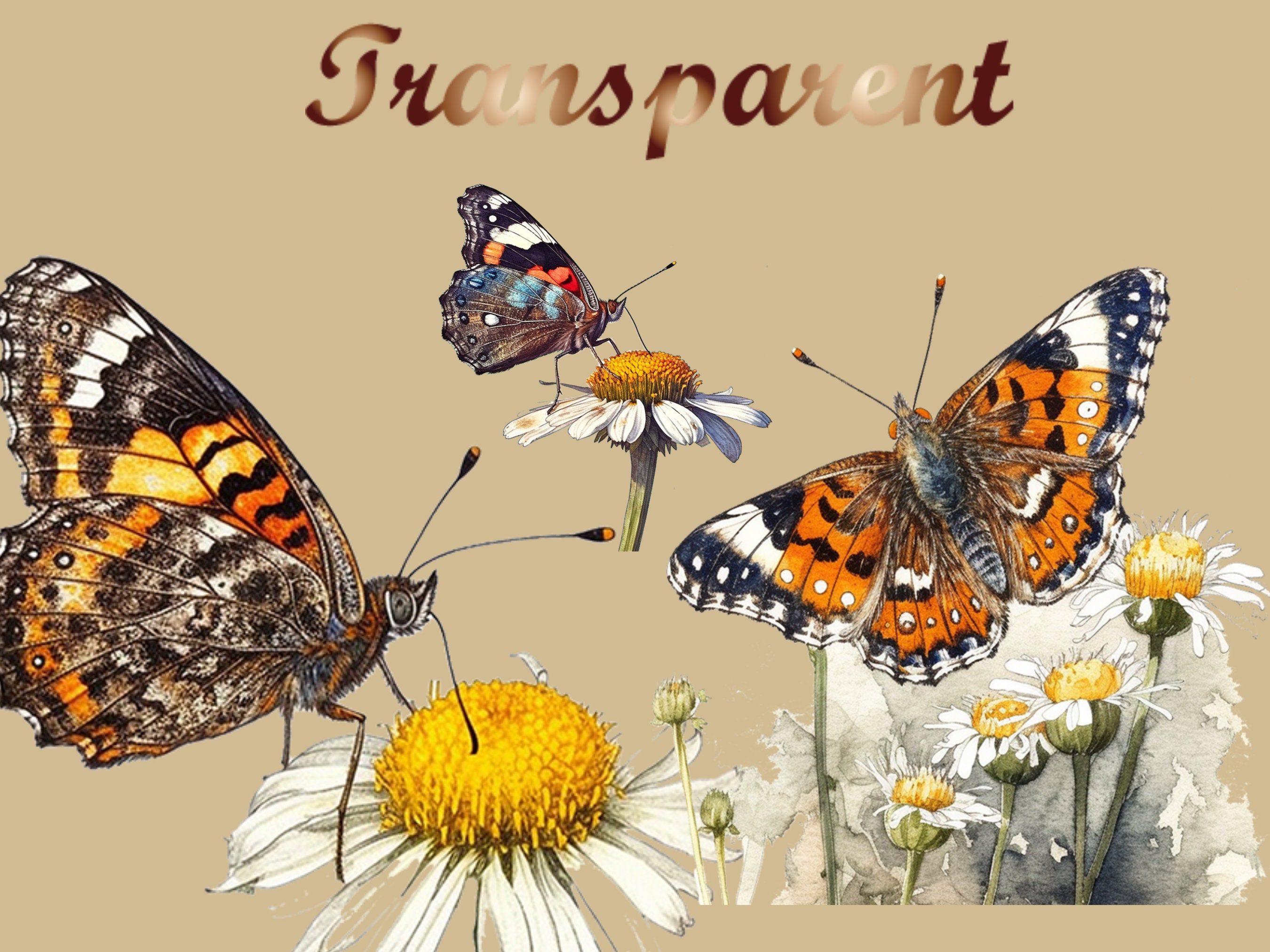 Monarch Butterfly Png, Monarch Butterfly Clipart, Butterfly Clipart ...