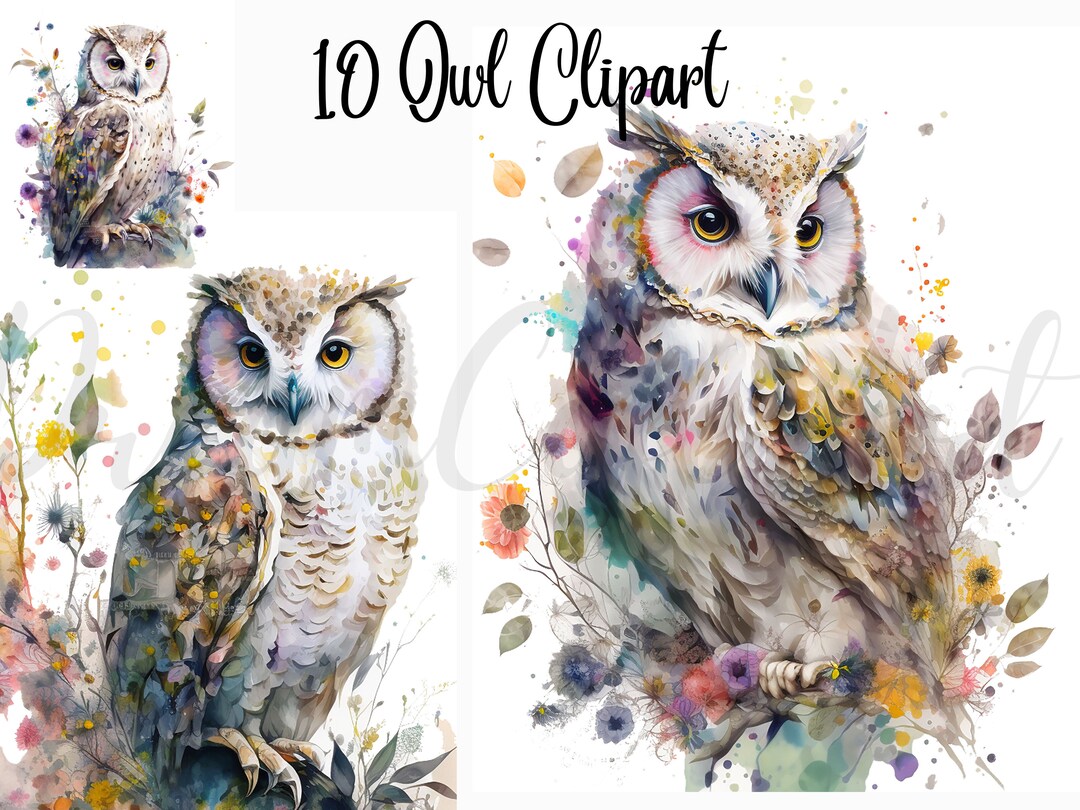 10 Owl Watercolor Clipart, Commercial Use,jpgs, Digital Paper Crafting ...