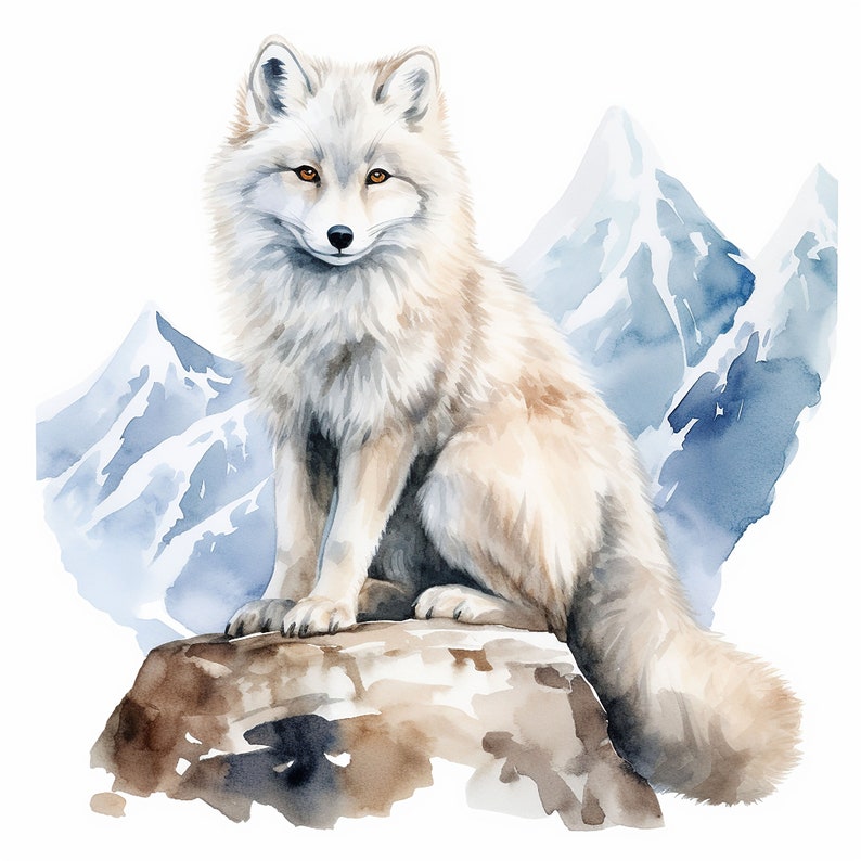 19 Winter Arctic Fox Clipart Jpgs, Printable Watercolor Clipart, Winter ...