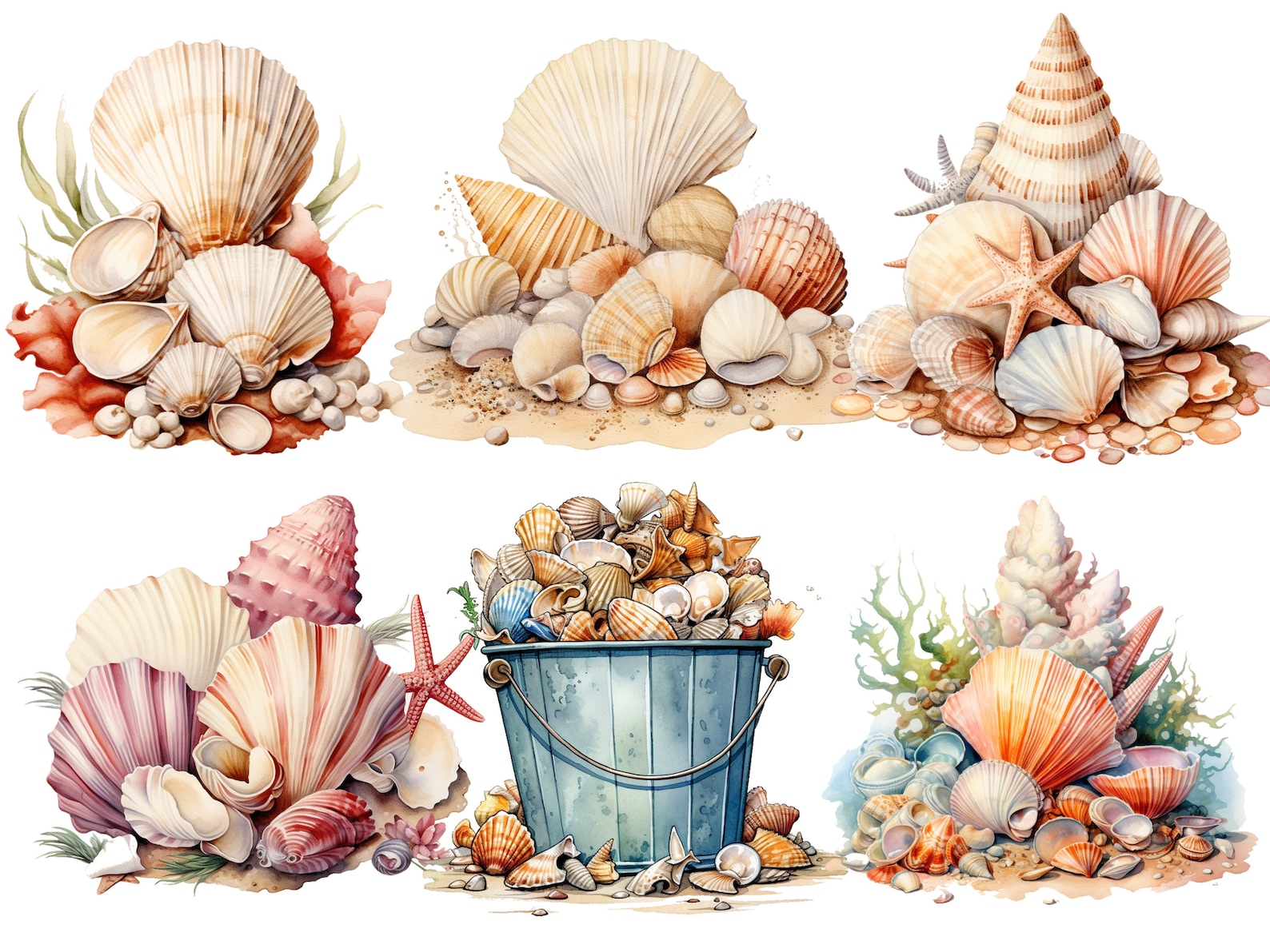 12 Watercolor Seashells Clipart PNG, Seashells Png, Seashells Clipart ...