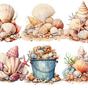 12 Watercolor Seashells Clipart PNG, Seashells Png, Seashells Clipart ...