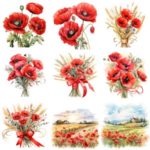 30 Remembrance Day Scene Clipart, Jpgs, Scarlet Poppies, Digital ...