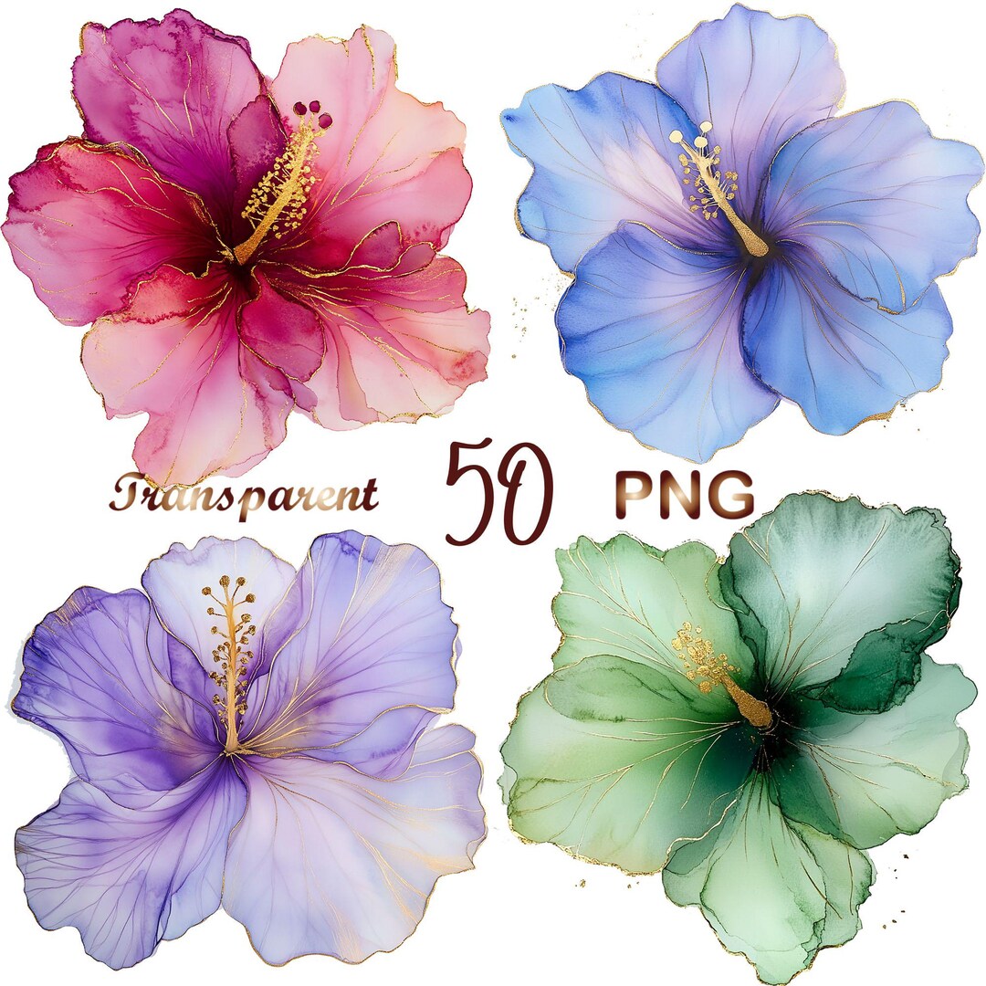50 PNG Watercolor Hibiscus Clipart Bundle– Abstract Flowers Watercolor ...
