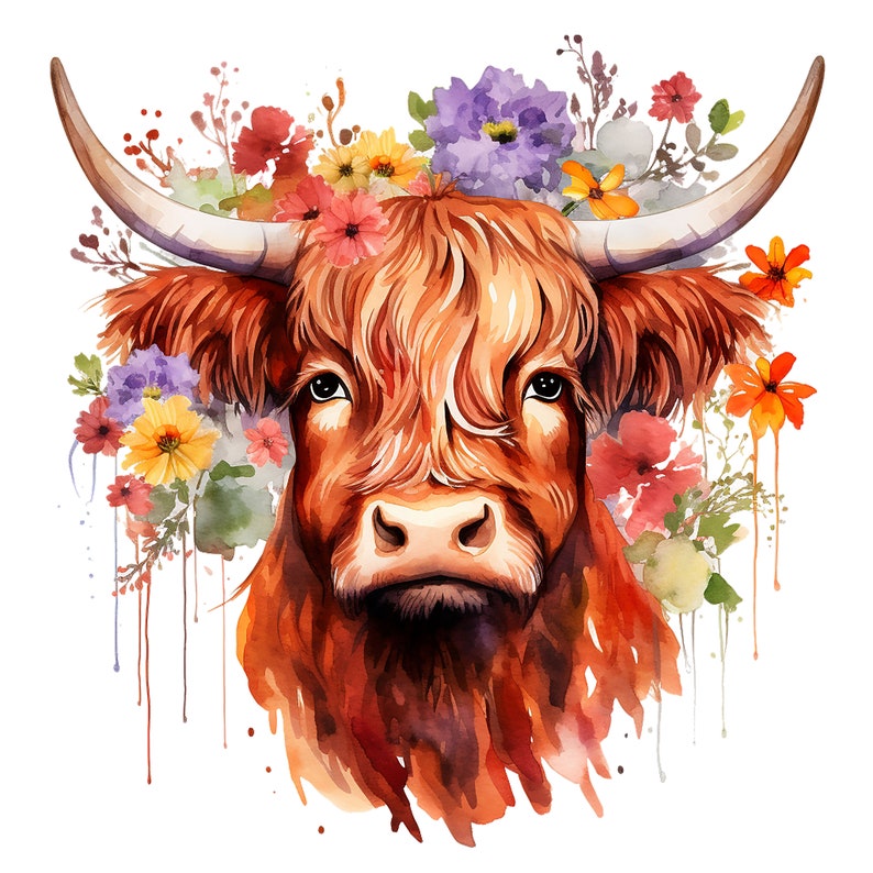 13 Spring Floral Highland Cow Bundle PNG, Highland Cow Clipart PNG ...