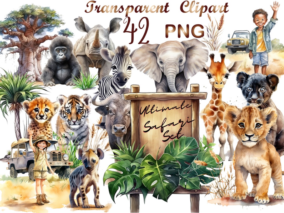 42 PNG, Safari Baby Animals Clipart Bundle, Safari Animal Png, Safari ...