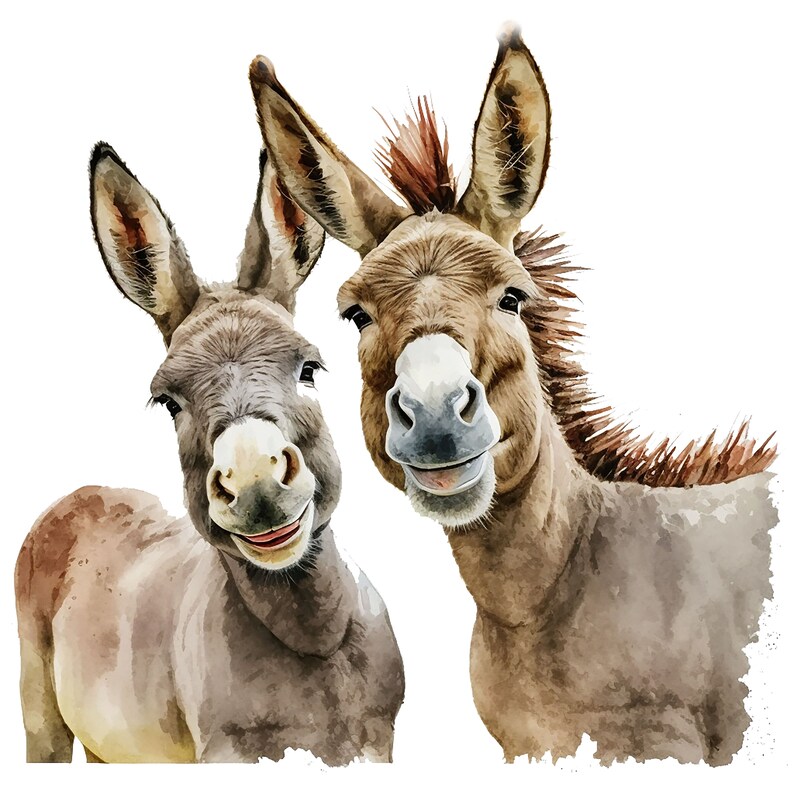 12 Happy Donkeys Clipart Donkey Clipart JPG Commercial - Etsy UK