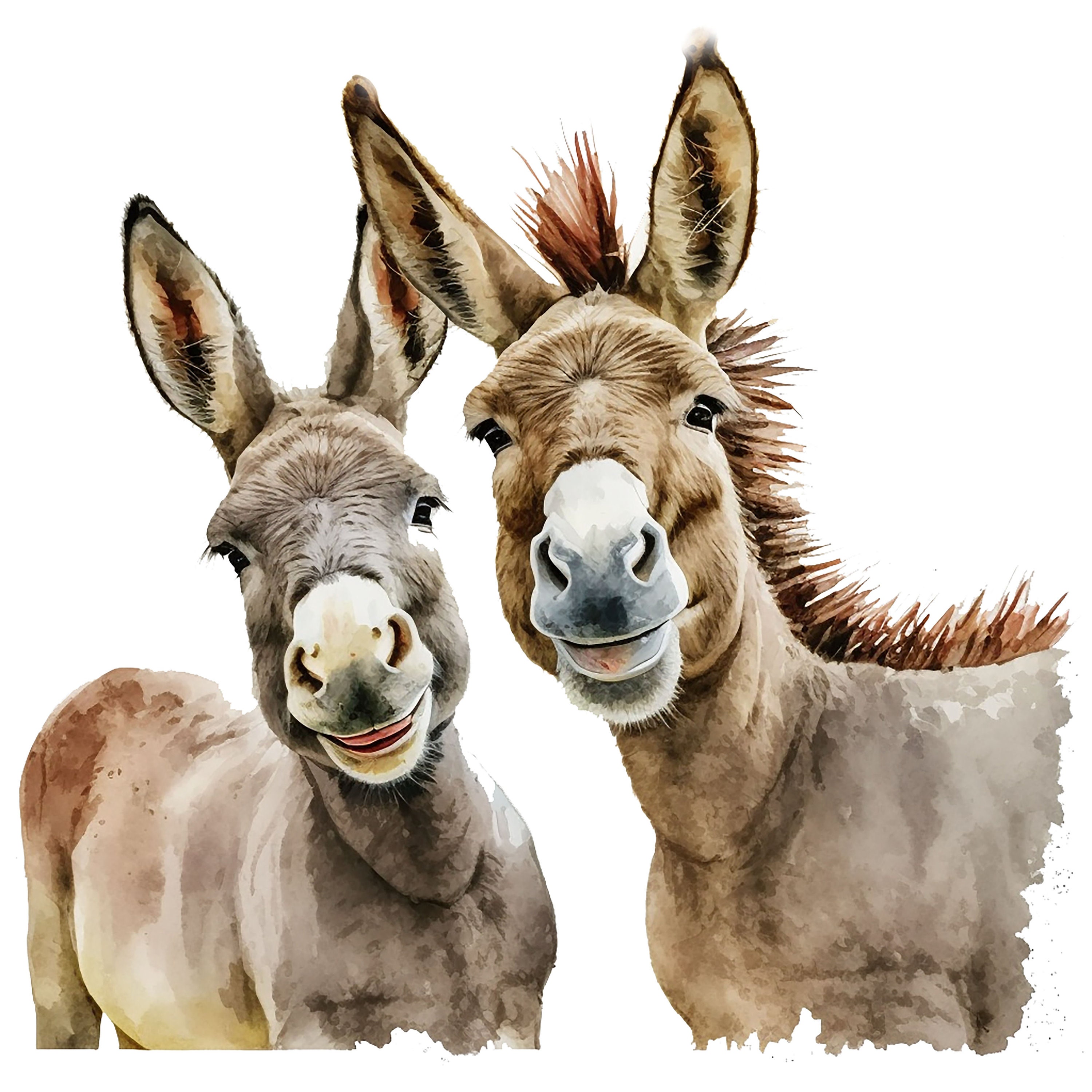 12 Happy Donkeys Clipart Donkey Clipart JPG Commercial - Etsy UK