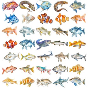 230 PNG, Fish Clipart Collection Bundle, Transparent Images Featuring ...