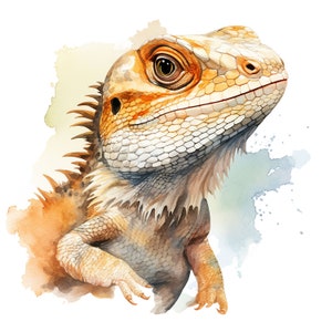20 Watercolor Bearded Dragon Clipart, Jpgs, Bearded Dragon, Digital ...