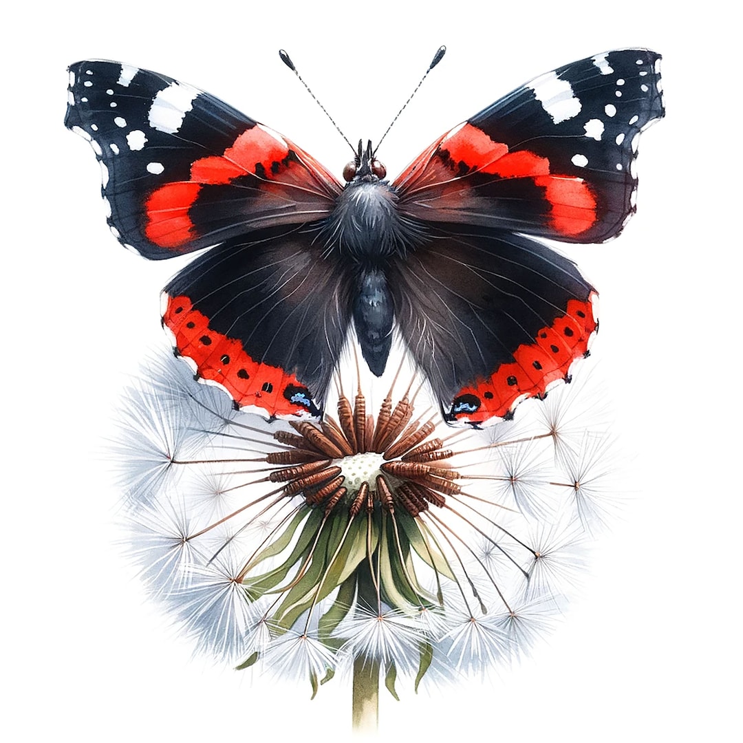 22 Jpgs, Watercolor Butterfly Clipart, Butterfly Wall Art, Printable ...