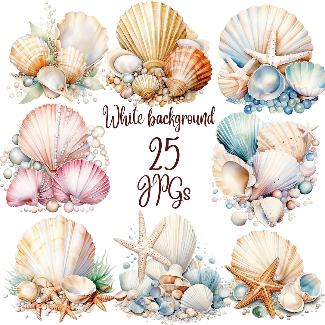 25 Watercolor Seashells Clipart, Jpgs, Seashells JPG, Seashells Clipart ...