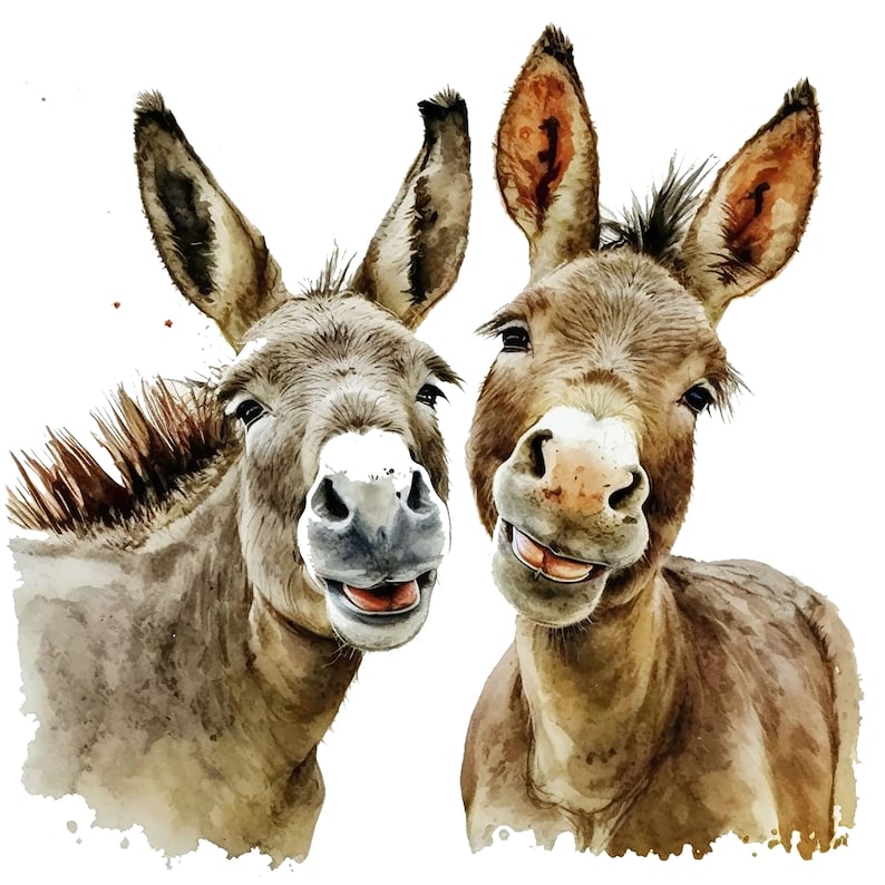 12 Happy Donkeys Clipart Donkey Clipart JPG Commercial - Etsy UK