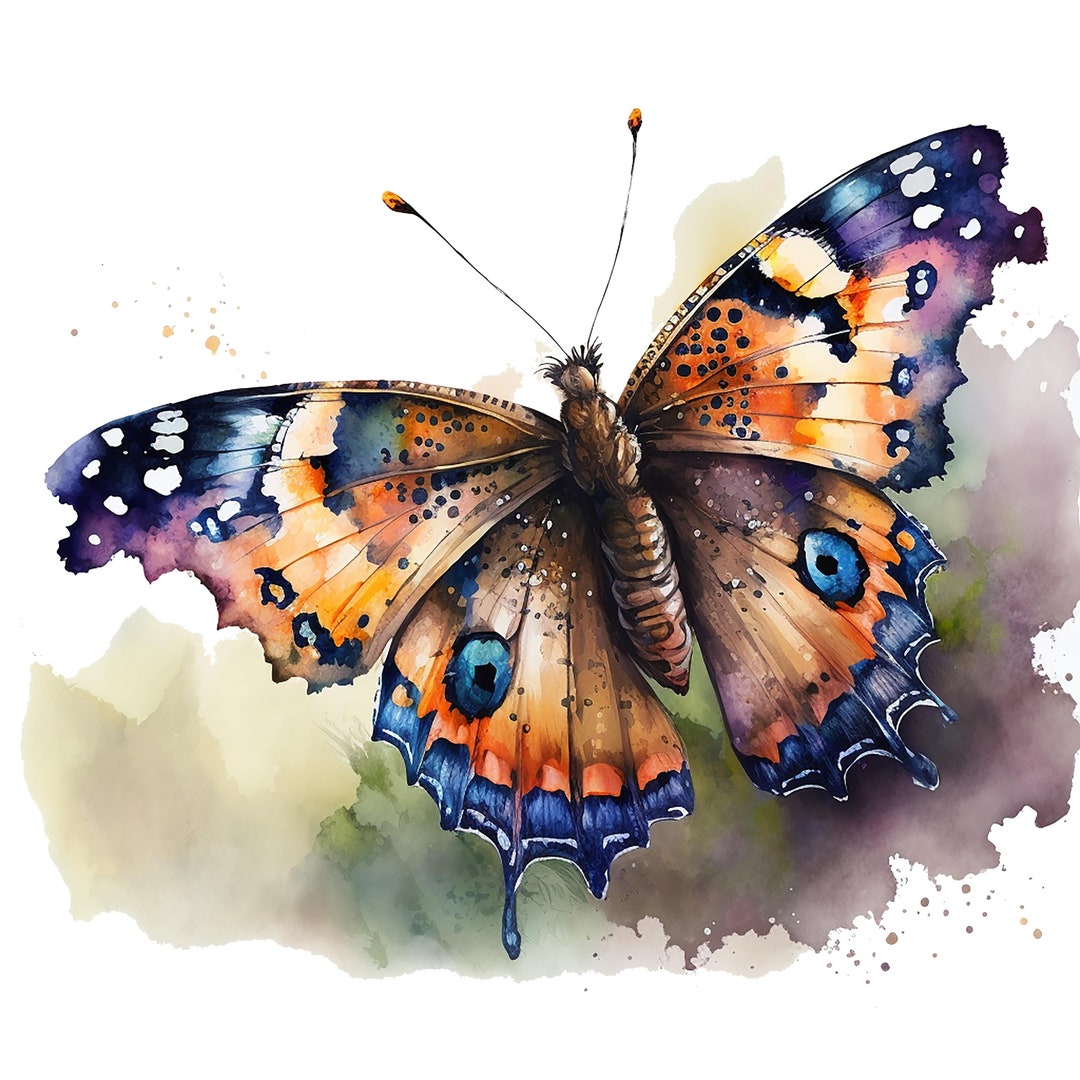 10 Watercolor Butterfly Clipart Jpgs,commercial Use,digital Download ...