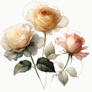 22 Jpgs, Abstract Roses Clipart Bundle, Dried Flowers, Printable ...