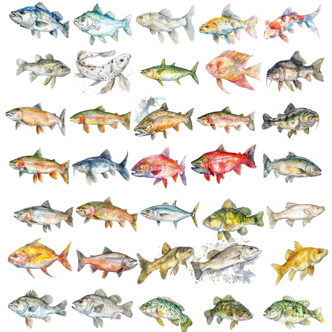 230 PNG, Fish Clipart Collection Bundle, Transparent Images Featuring ...