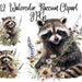 12 Raccoon Clipart, Watercolor Art, Jpgs, Commercial Use, Digital ...