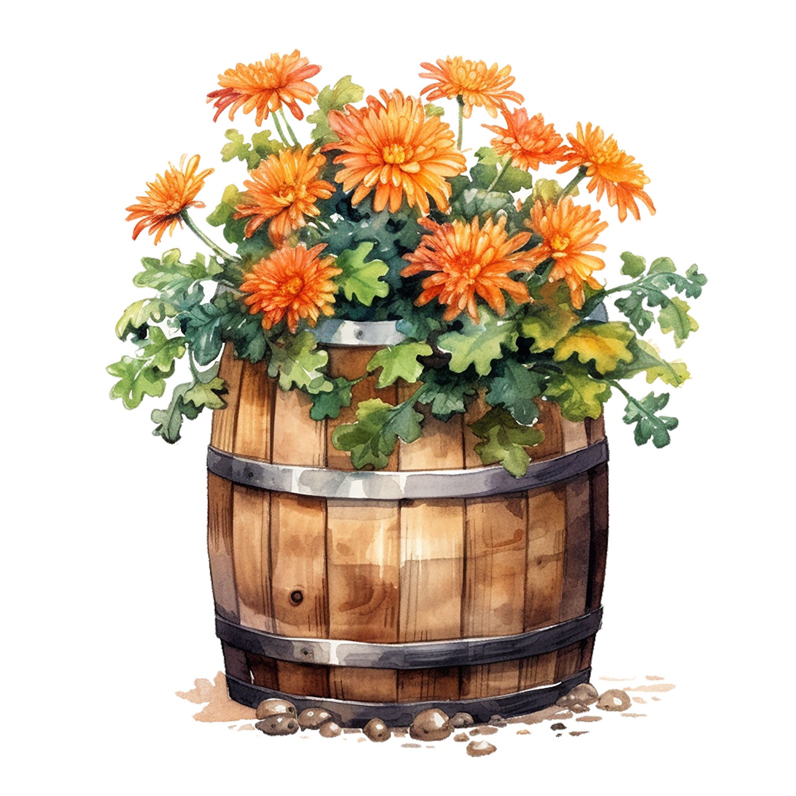 24 Watercolor Floral Barrel Clipart, Pngs and Jpgs, Mixed Media ...