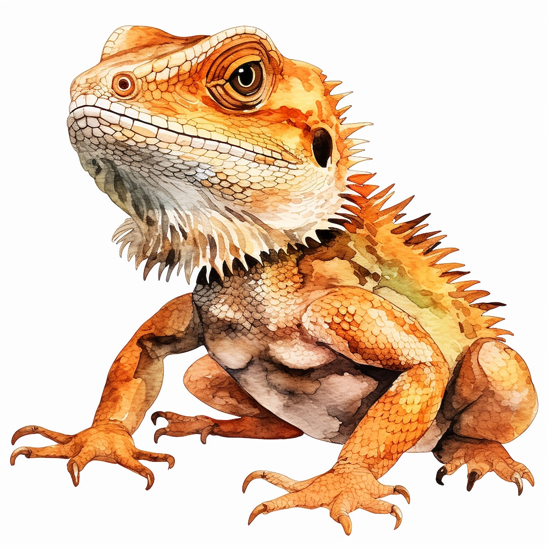 20 Watercolor Bearded Dragon Clipart, Jpgs, Bearded Dragon, Digital ...