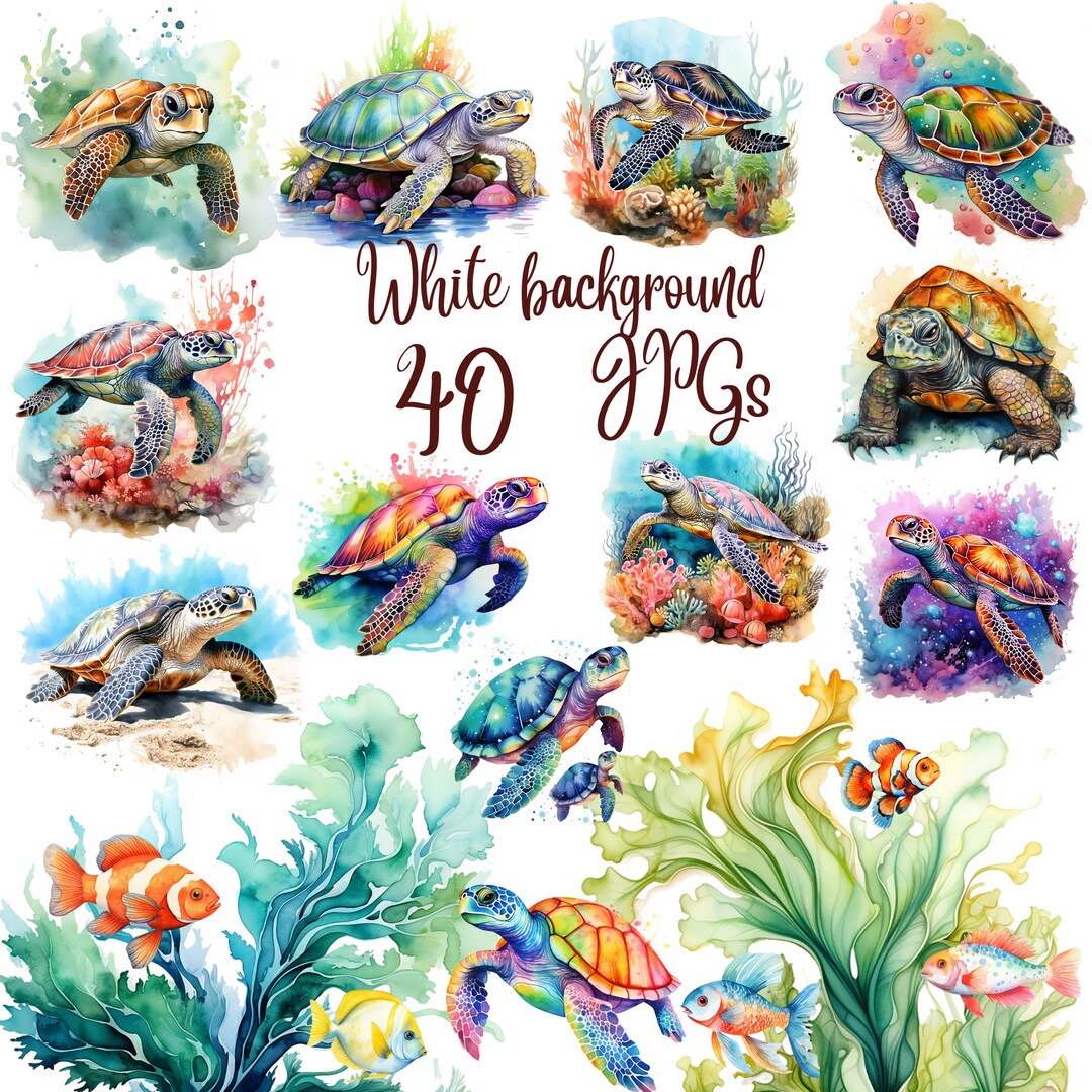 40 Watercolor Sea Turtle Clipart Jpgs, High Quality Jpgs, Digital ...