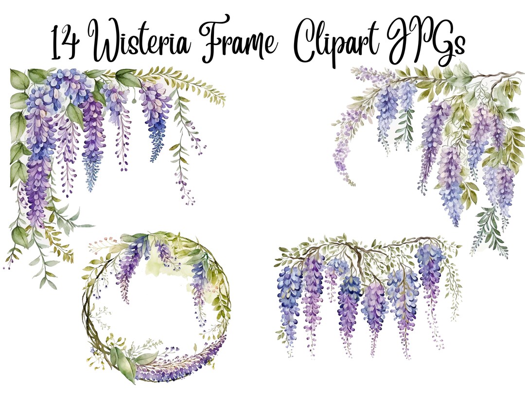 14 Wisteria Frame Clipart, Floral Clipart, Wisteria Clipart, Flower ...