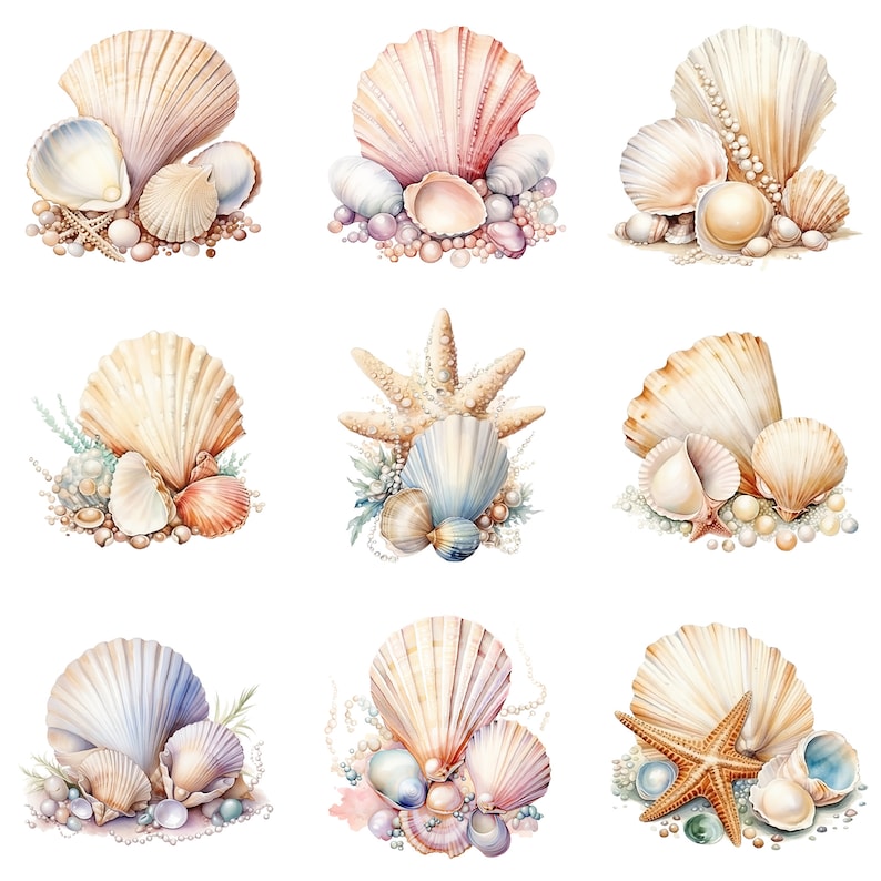 25 Watercolor Seashells Clipart, Jpgs, Seashells JPG, Seashells Clipart ...