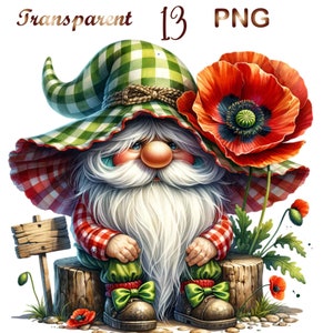 13 Birth Month Flower Clipart, Birth Month Flower Gnome, Poppy Gnome ...