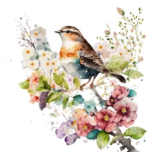 12 Floral Bird Clipart, Jpgs, Digital Download, Card Making, Clip Art ...