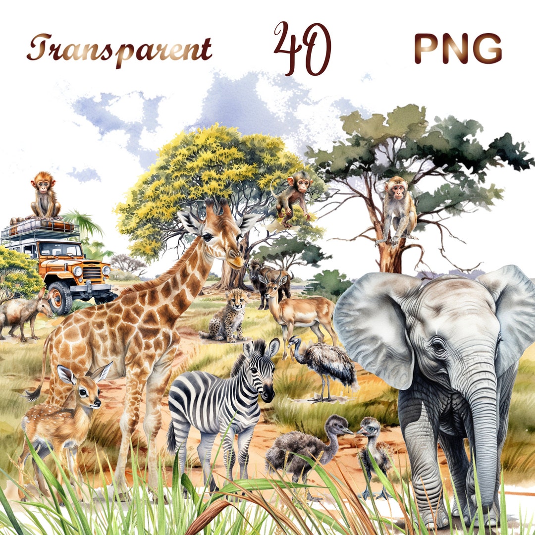 40 Safari Animals Png Safari Animal Png Safari Baby Animals - Etsy New ...