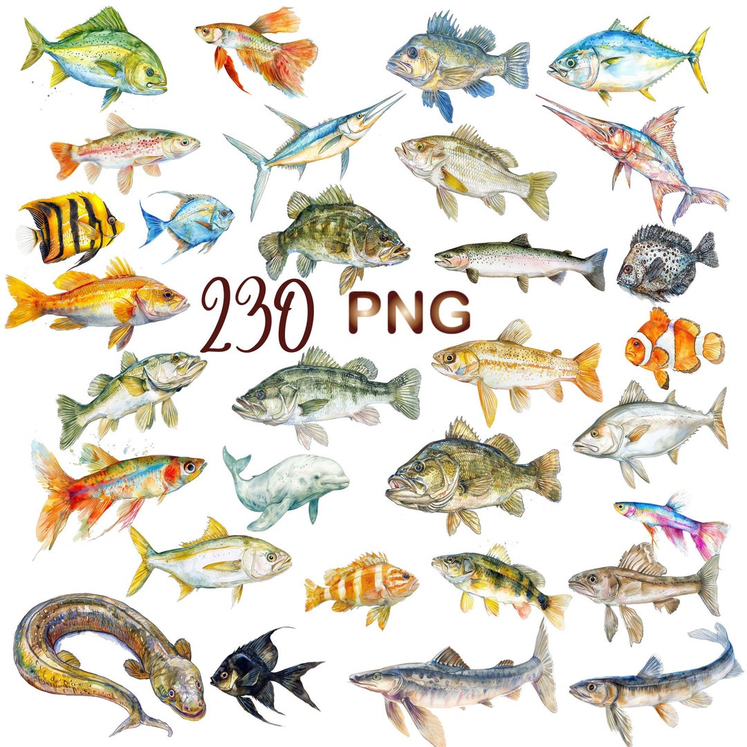 230 PNG, Fish Clipart Collection Bundle, Transparent Images Featuring ...