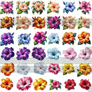 90 PNG Tropical Hibiscus Clipart Bundle | Bright Floral Illustrations ...