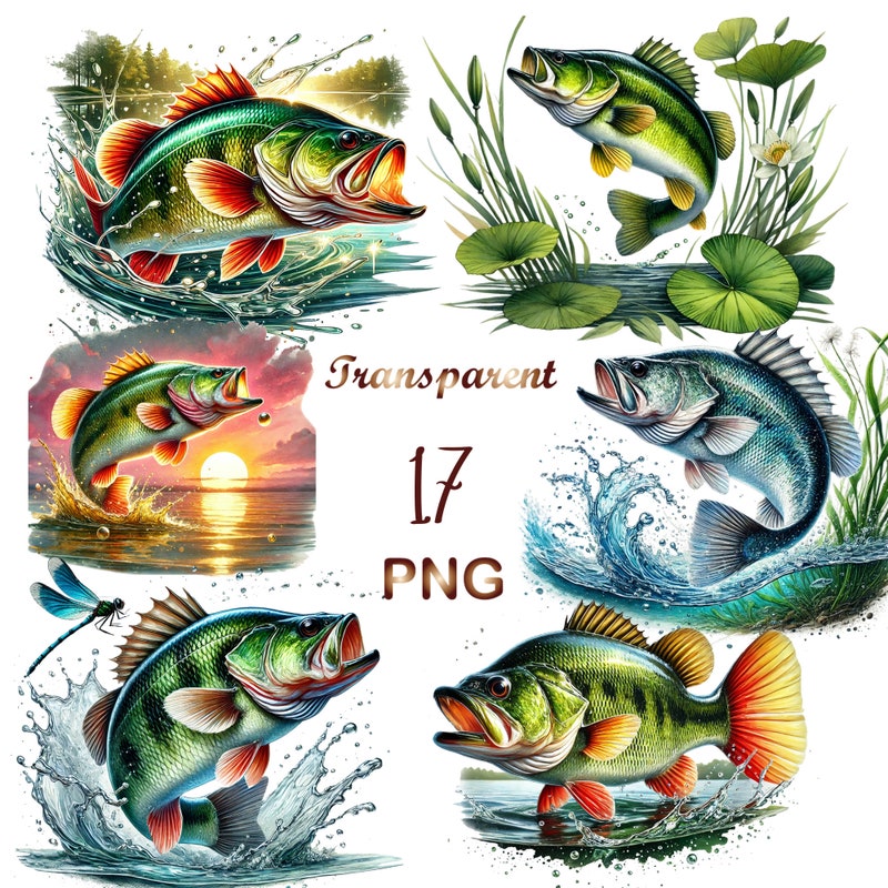 Red Bass Fish Png - Etsy