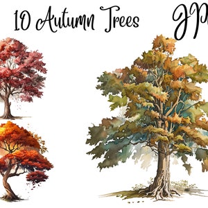 10 Autumn Trees, Autumn Clipart, Jpgs, Commercial Use, Digital Download ...