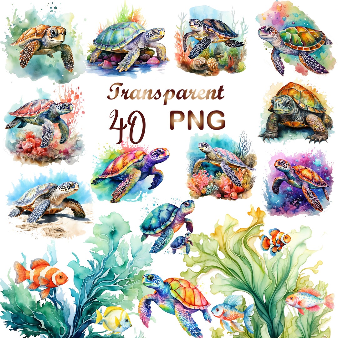 40 Watercolor Sea Turtle Clipart Png, Turtle Png,sea Turtle Clipart ...