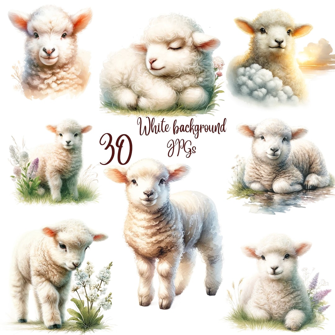 30 Jpgs Baby Lamb Clipart Bundle,lamb Clipart,baby Animals Clipart,farm ...