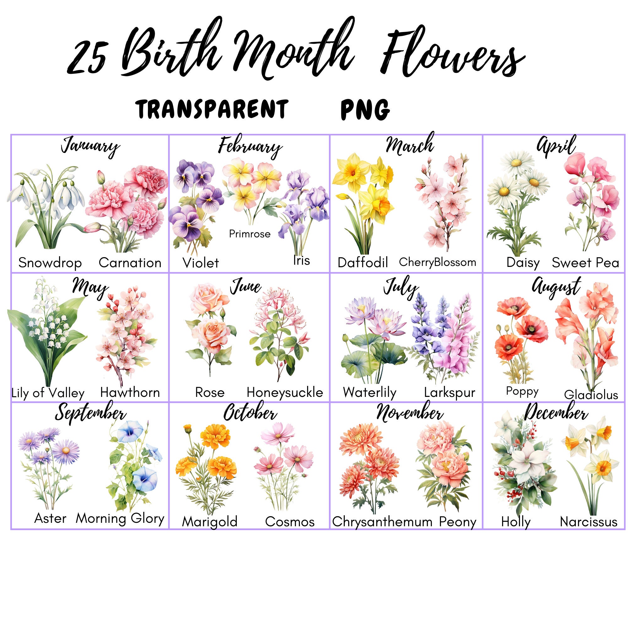 25 Birth Month Flowers Clipart, PNG, Set Watercolor, Watercolor Floral ...