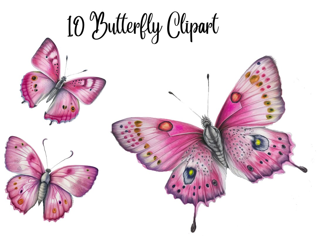 10 Butterfly Clipart Jpgs,commercial Use,digital Download,card Making ...