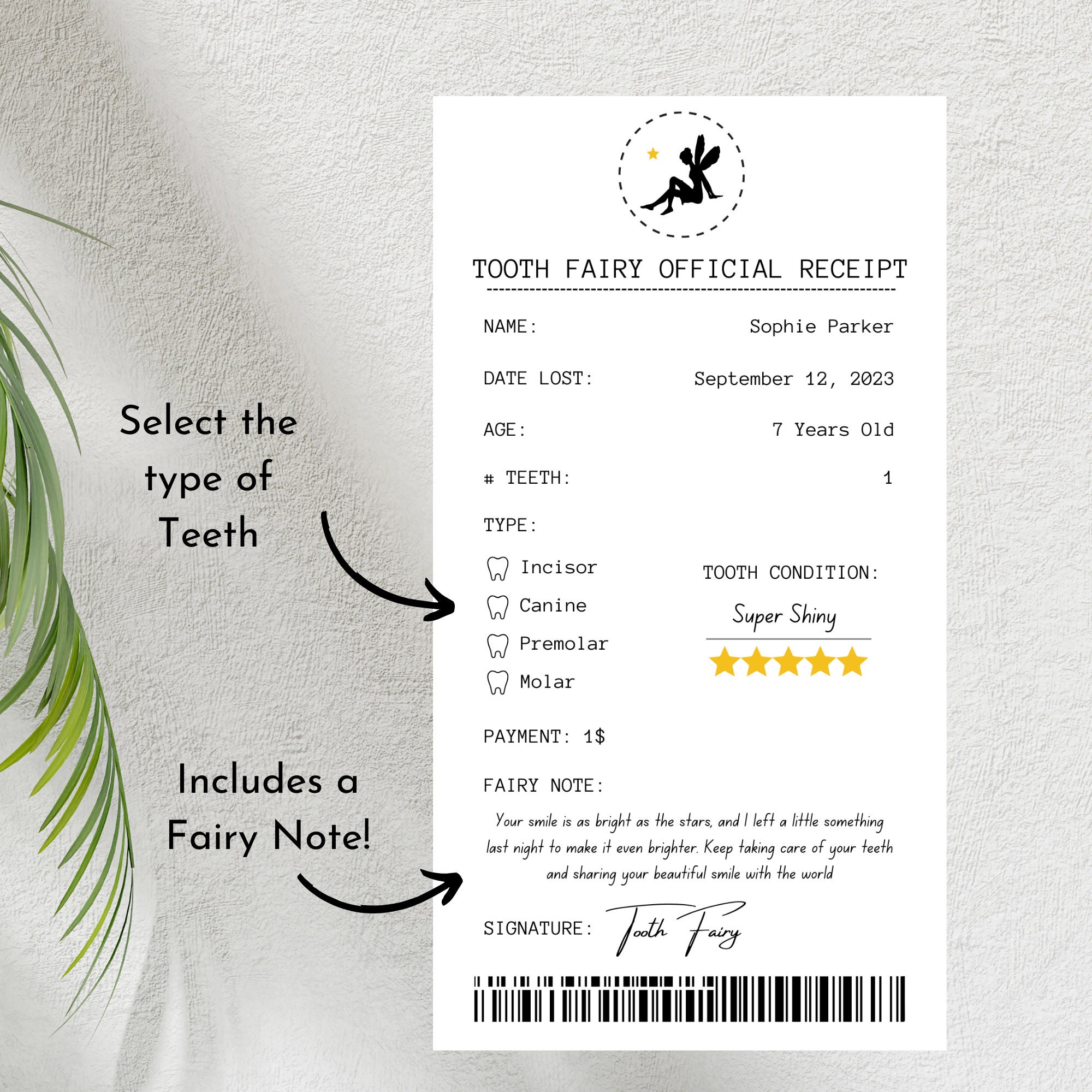 Tooth Fairy Receipt Template Canva | Letter From the Tooth Fairy First ...