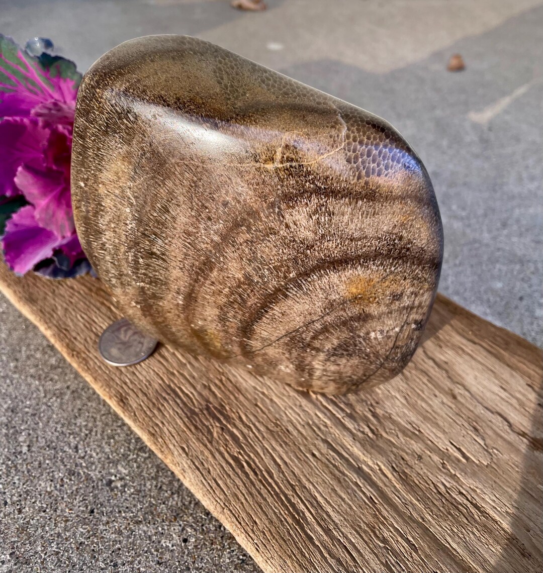 Charlevoix Stone polished - Etsy