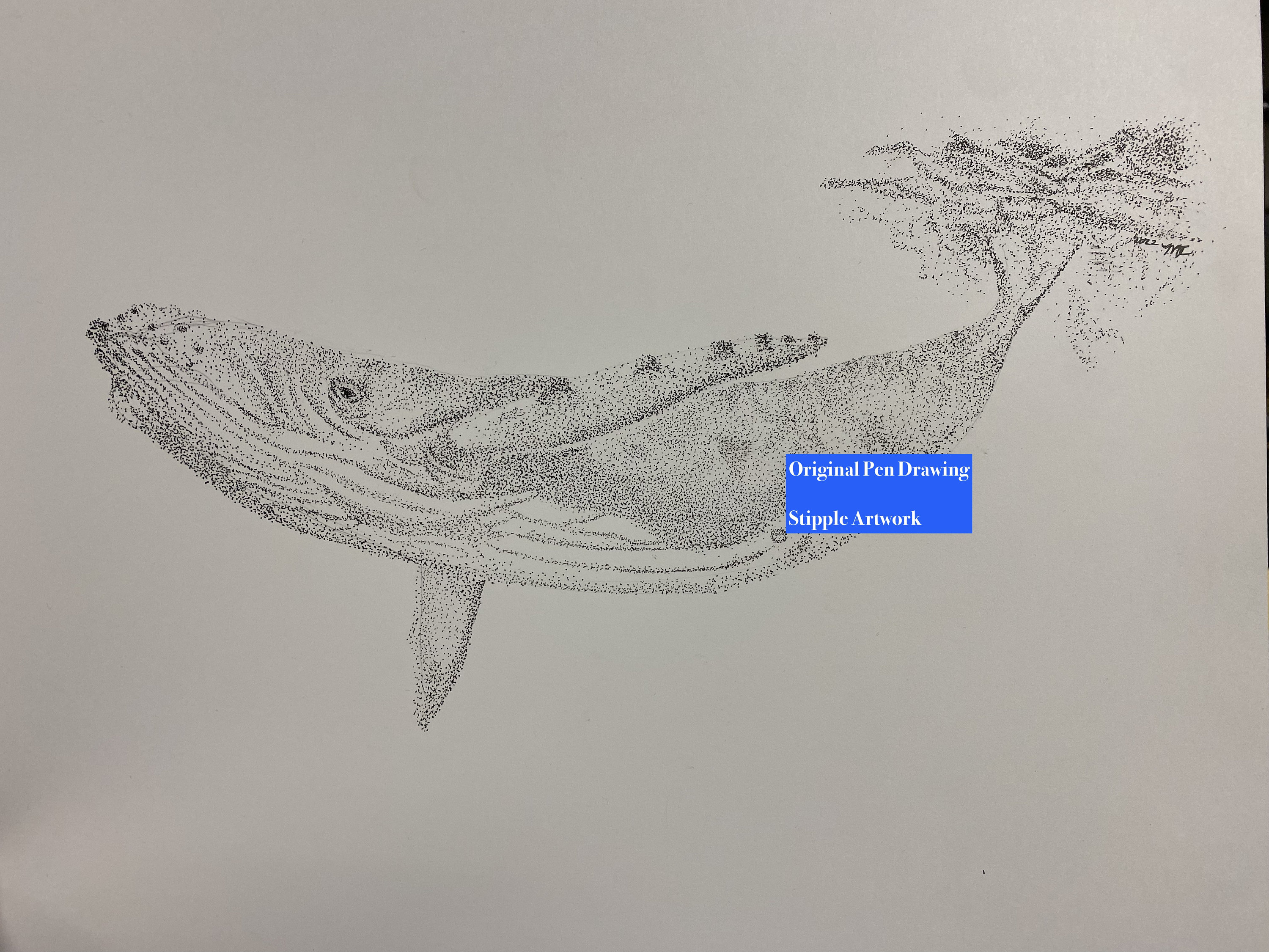 Custom Pen Drawings in Normal Hand Stipple or Squiggle - Etsy