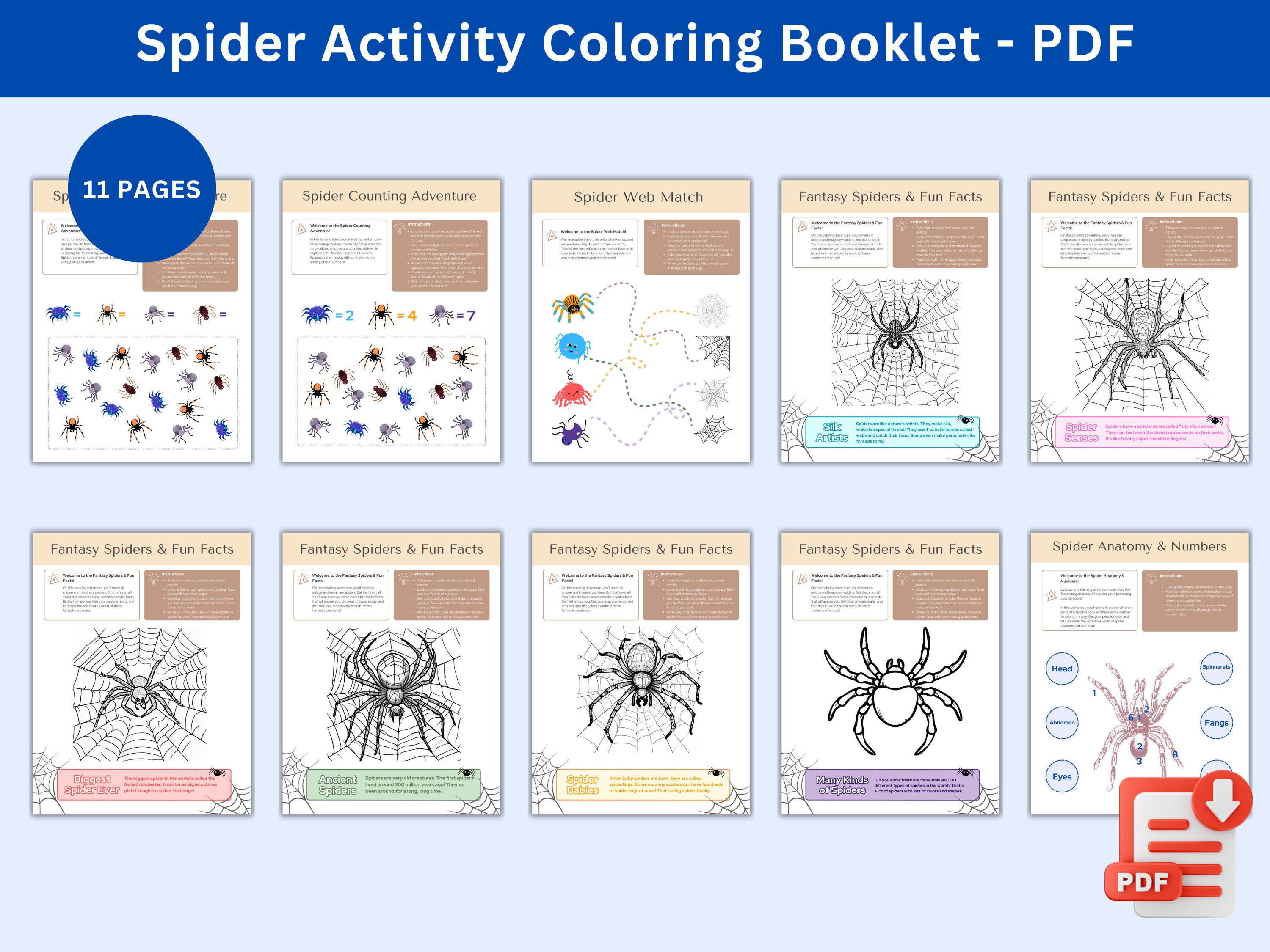 Spider Activity Sheets for Preschoolers to Keep Kids Busy Inside ...