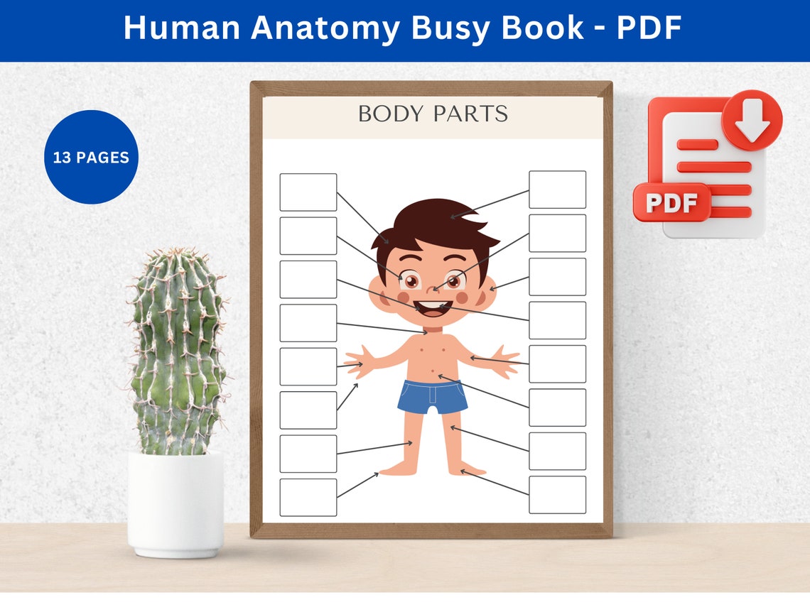 Human Anatomy Body Label Organs With Human Heart Diagram and Human ...